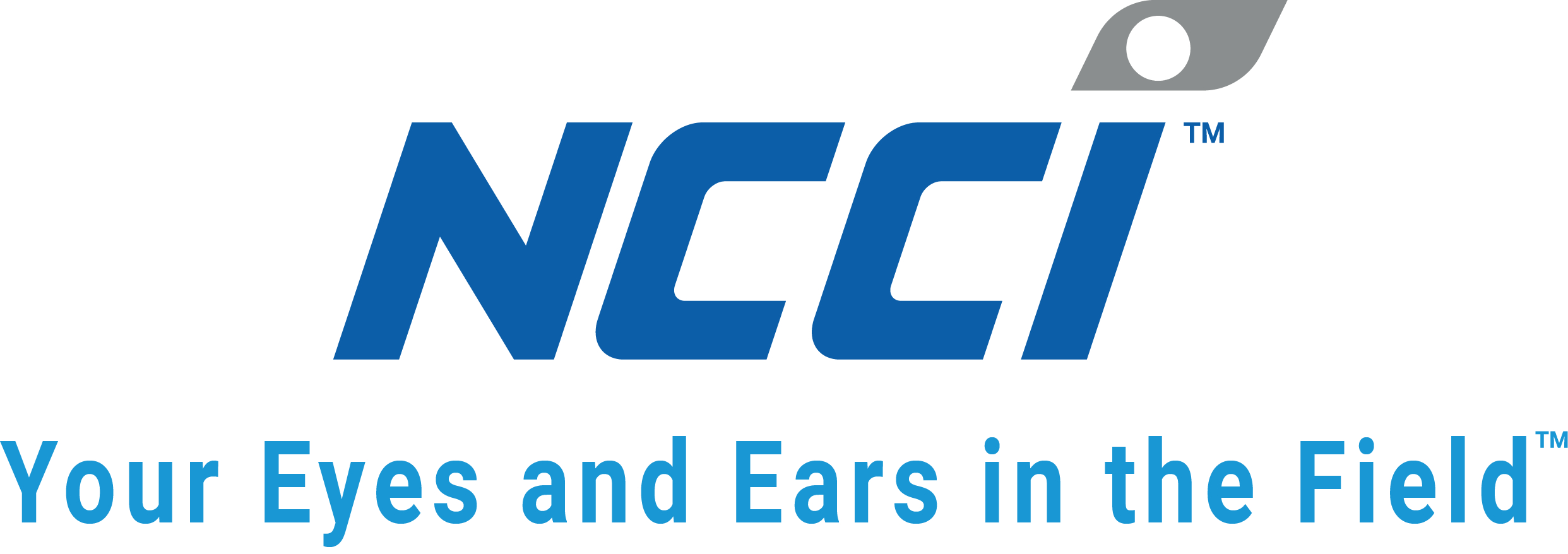NCCI